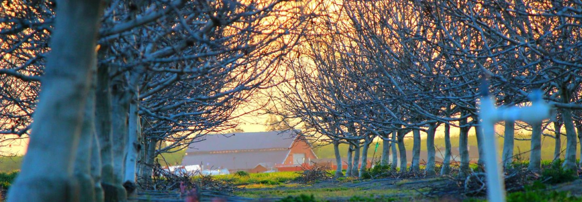 Lorem Ipsum: Origins from Cicero to Modern Design | FedTech Magazine